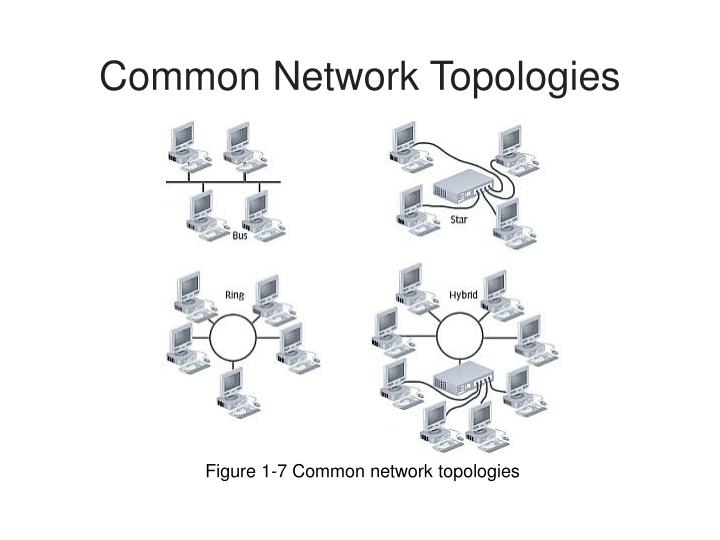 PPT - Telecommunications and Network Security PowerPoint Presentation ...