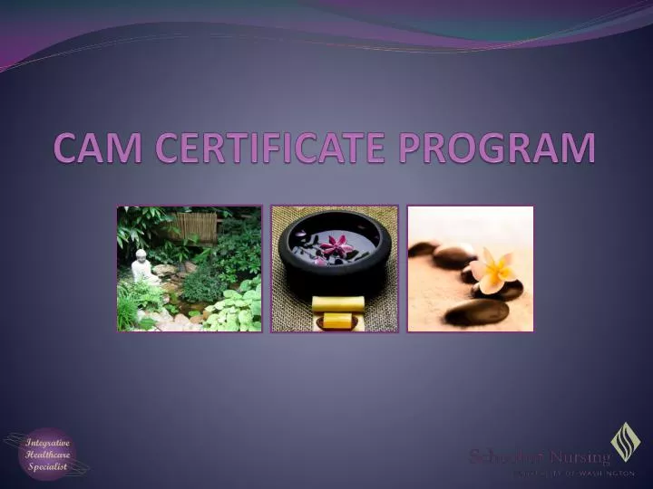 PPT - CAM CERTIFICATE PROGRAM PowerPoint Presentation, free download ...