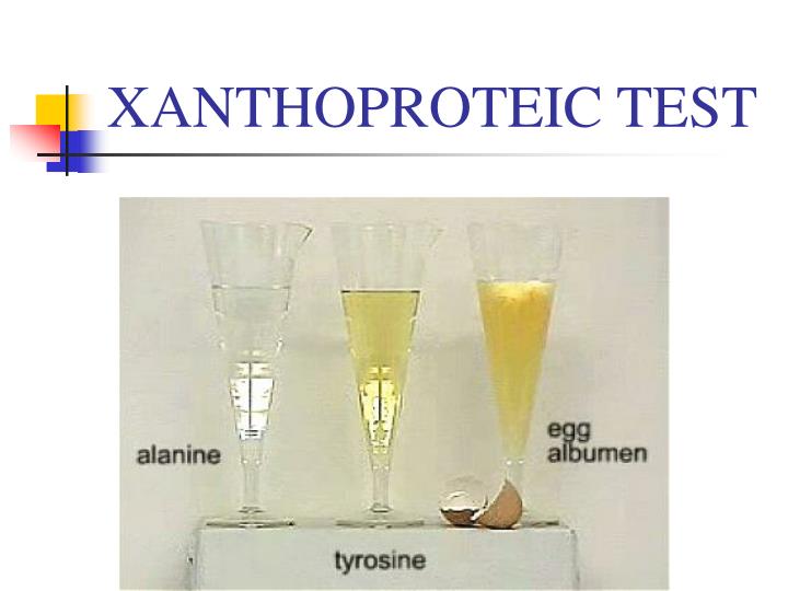 PPT - PROTEINS PowerPoint Presentation - ID:437046