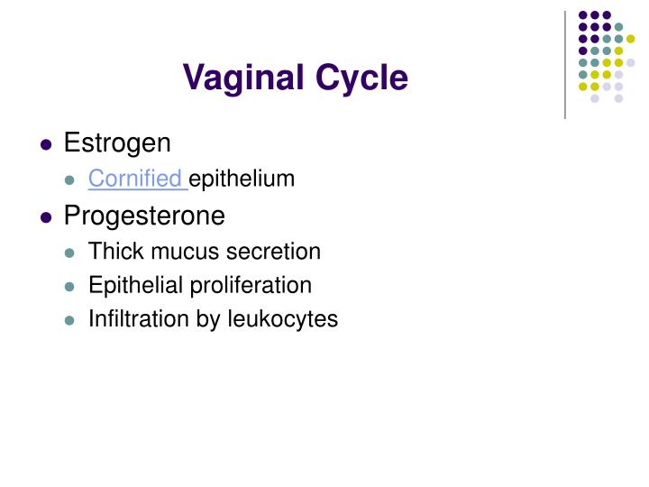 PPT - Menstrual Cycle PowerPoint Presentation - ID:437431