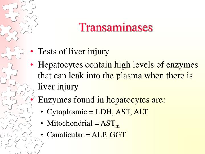 PPT - Liver Function Test PowerPoint Presentation - ID:437473