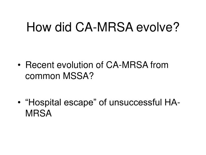 PPT - Lecture 3 MRSA Methicillin resistant S. aureus PowerPoint ...