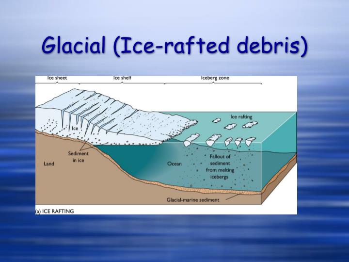 PPT - Origin and Distribution of Marine Sediments PowerPoint ...