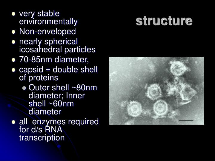PPT - REOVIRUS PowerPoint Presentation - ID:438995