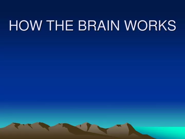 PPT - HOW THE BRAIN WORKS PowerPoint Presentation, free download - ID ...