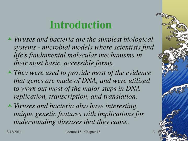 PPT - THE GENETICS OF VIRUSES AND BACTERIA PowerPoint Presentation - ID ...