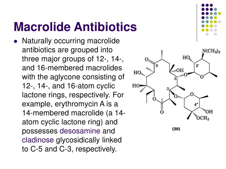 PPT - Chapter 8 Antibiotics PowerPoint Presentation - ID:440134