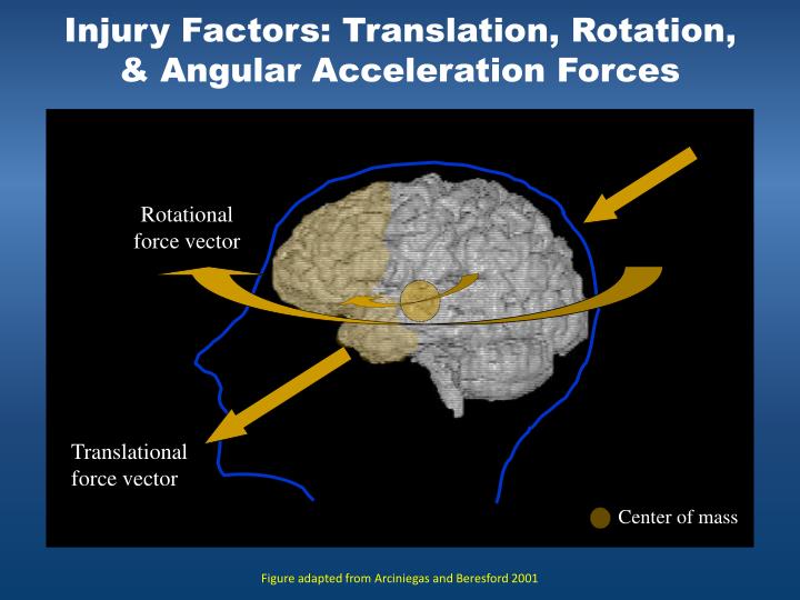 PPT - TBI and Aggression: Forensic Neuropsychiatric Evaluation AAPL ...