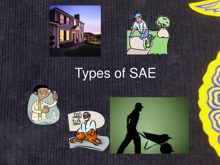 PPT - What in the World is SAE ? PowerPoint Presentation - ID:440654