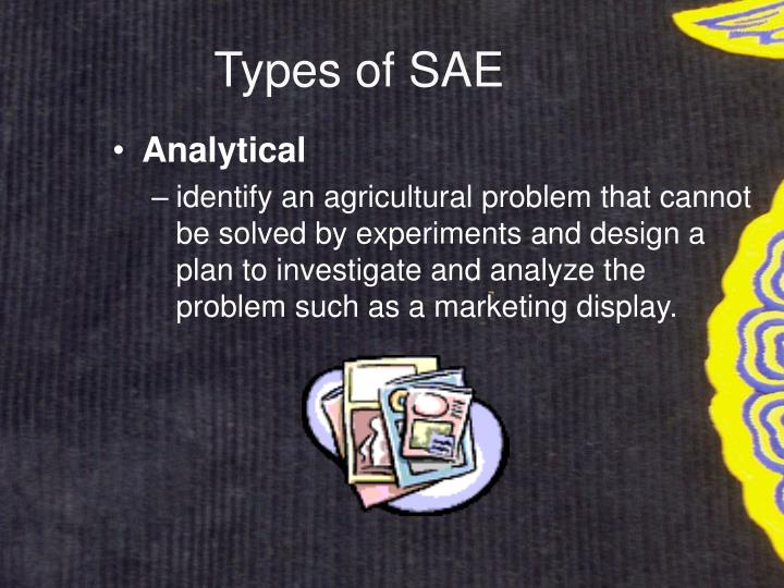 PPT - What in the World is SAE ? PowerPoint Presentation - ID:440654