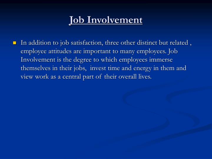 PPT - Employee Attitudes and Their Effects PowerPoint Presentation - ID ...