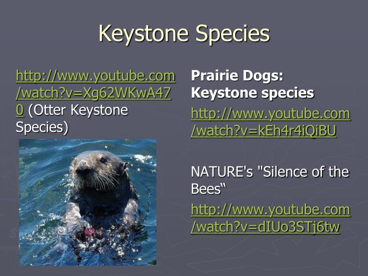 PPT - Chapter 5: Evolution and Community Ecology PowerPoint ...