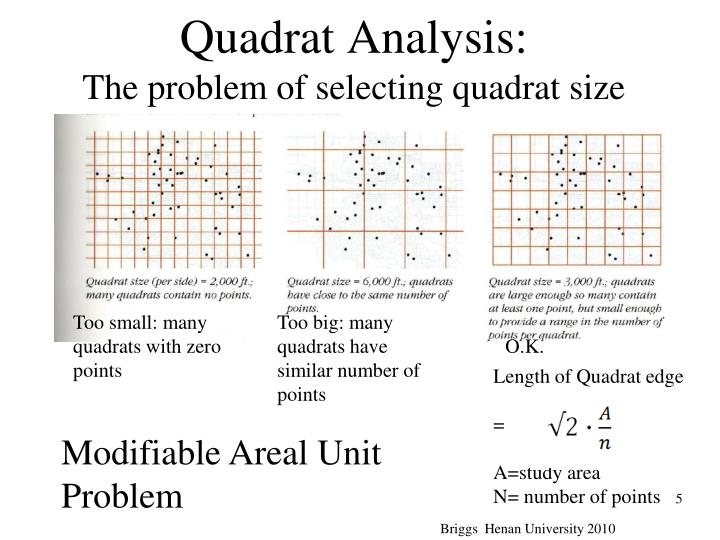 PPT - Point Pattern Analysis PowerPoint Presentation - ID:441956