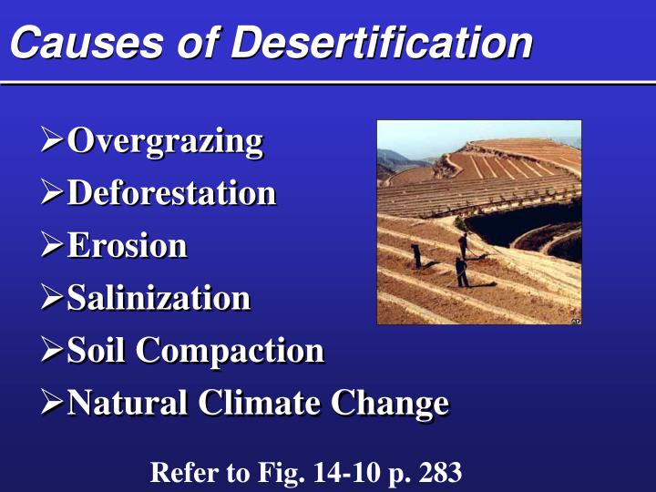 PPT - Food and Soil Resources PowerPoint Presentation - ID:442586