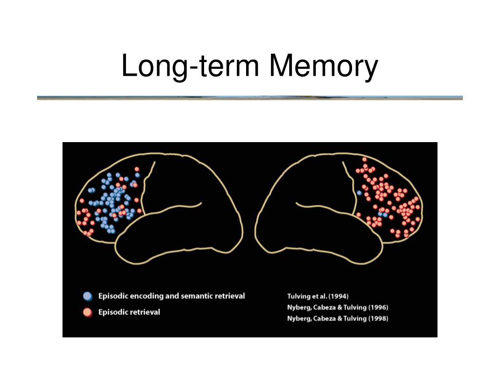 PPT - severe anterograde amnesia temporally graded retrograde amnesia ... PPT - severe anterograde amnesia temporally graded retrograde amnesia ...