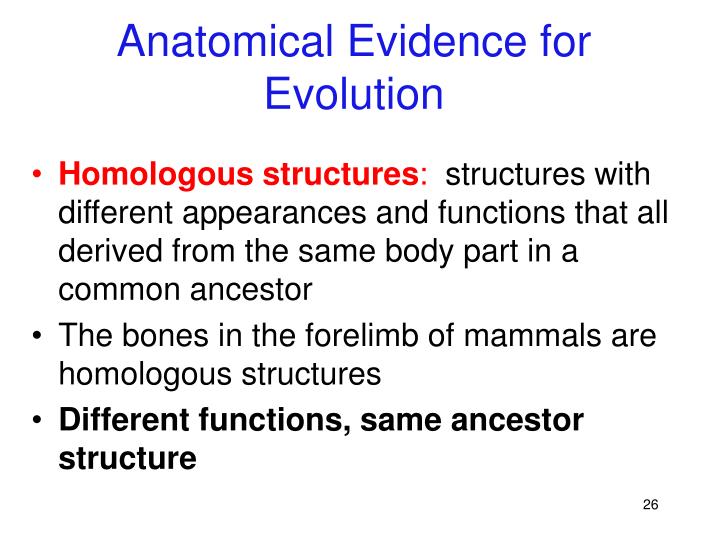 PPT - The Evidence for Evolution PowerPoint Presentation - ID:443334