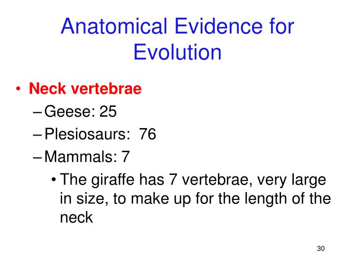 PPT - The Evidence for Evolution PowerPoint Presentation - ID:443334