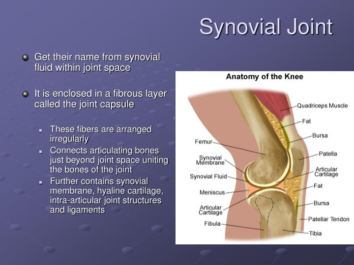 PPT - Arthrography PowerPoint Presentation - ID:443478