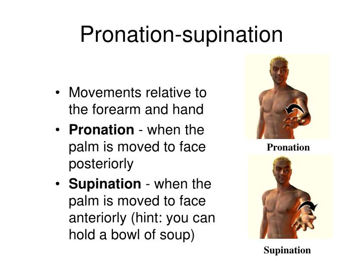 PPT - Movements PowerPoint Presentation - ID:443502