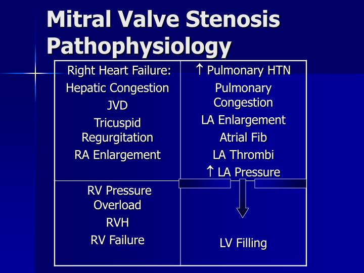 PPT - Valvular Heart Disease PowerPoint Presentation - ID:443921