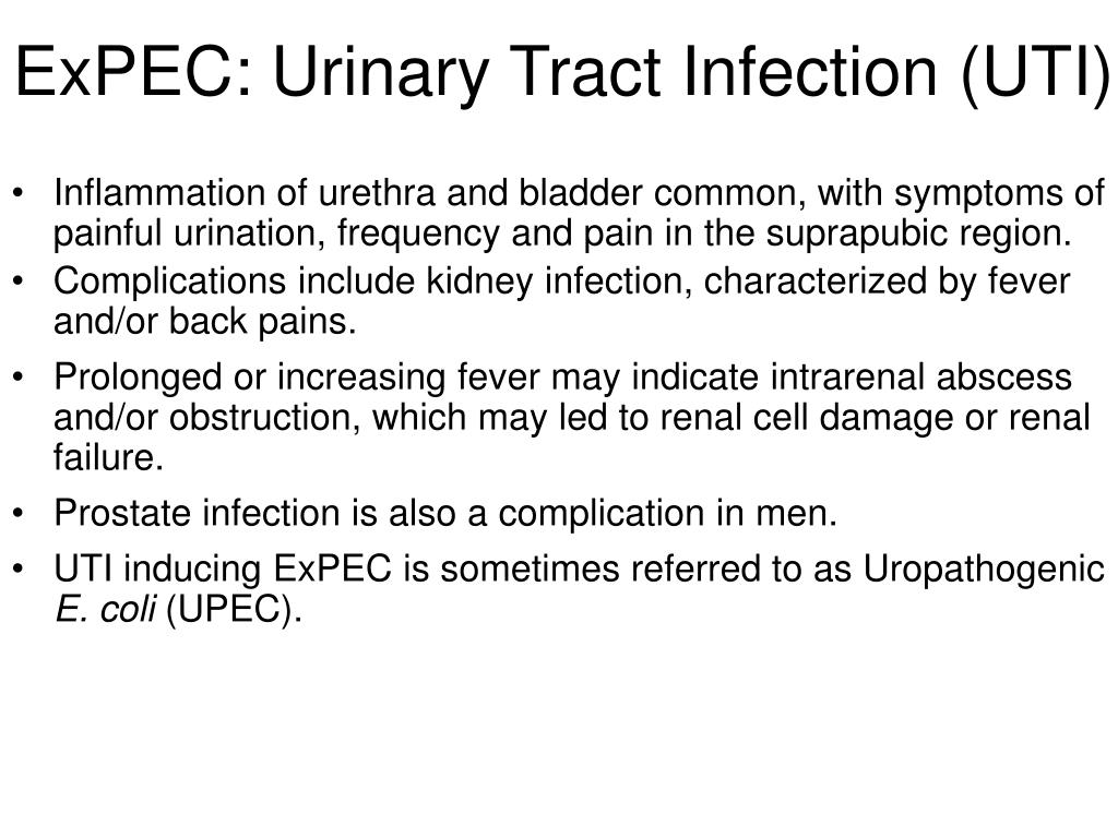 PPT - Shuzo Kaneko Andrea Tu Vipin Sandhu PowerPoint Presentation, free ...