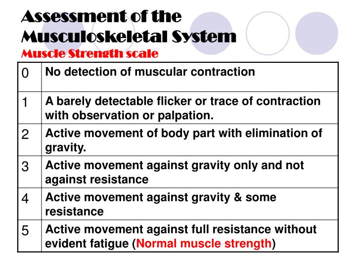 PPT - Assessment of the Musculoskeletal System PowerPoint Presentation ... PPT - Assessment of the Musculoskeletal System PowerPoint Presentation ...