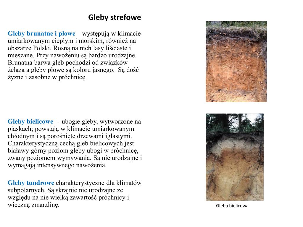 PPT - Materiały pochodzą z Platformy Edukacyjnej Portalu szkolnictwo.pl ...