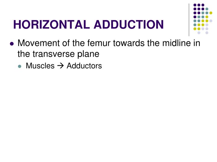 PPT - The Hip Joint and Pelvic Girdle PowerPoint Presentation - ID:445077