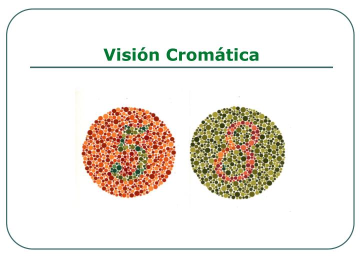 PPT - LA VISIÓN. ASPECTOS BÁSICOS PowerPoint Presentation - ID:445986