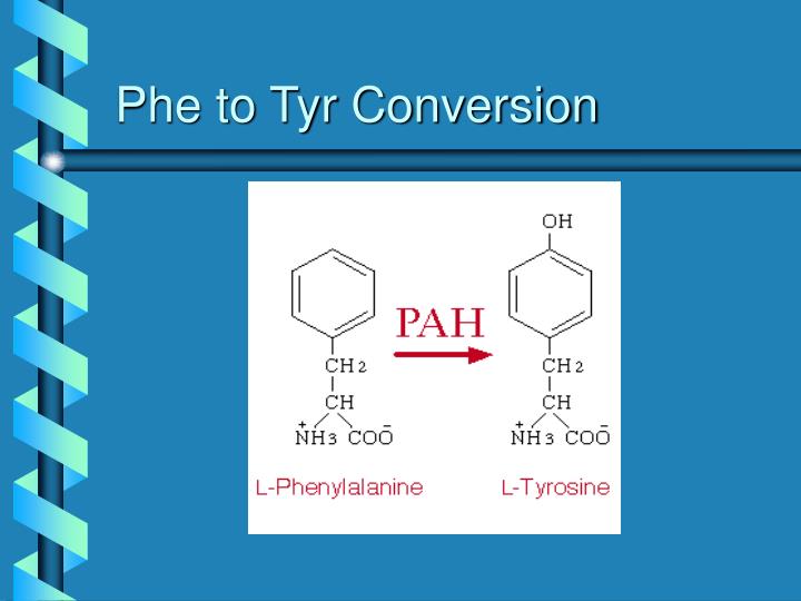 PPT - Phenylketonuria (PKU) PowerPoint Presentation - ID:446004