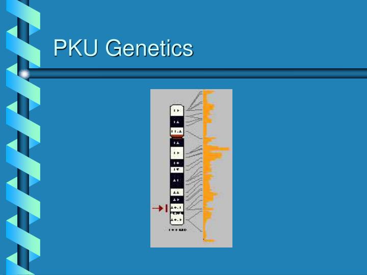 PPT - Phenylketonuria (PKU) PowerPoint Presentation - ID:446004