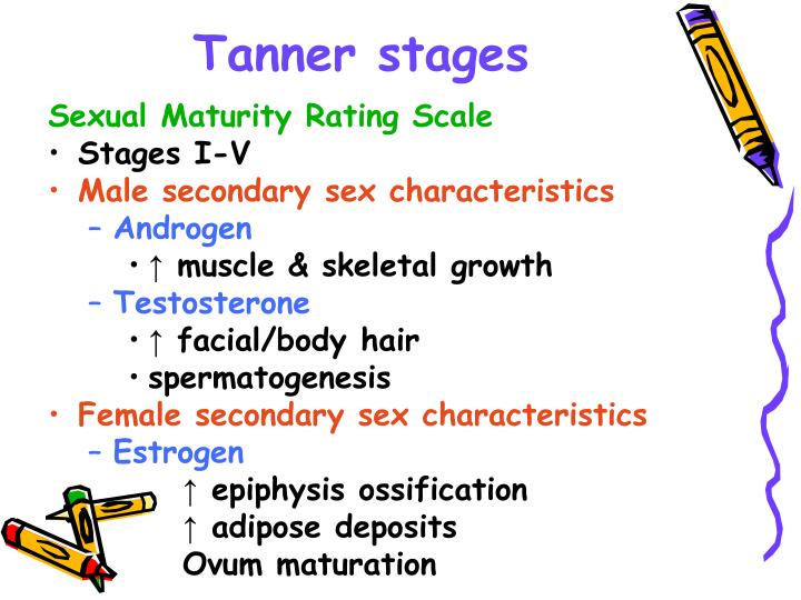 PPT - Pre-school, School age and Adolescent PowerPoint Presentation ...