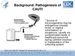 PPT - Catheter-associated Urinary Tract Infection (CAUTI) Toolkit ...