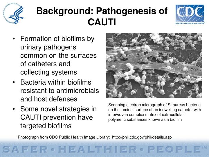 PPT - Catheter-associated Urinary Tract Infection (CAUTI) Toolkit ...