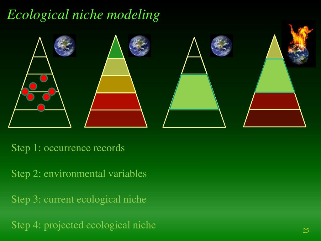 Ppt Ecological Niche And Ecological Niche Modeling Powerpoint