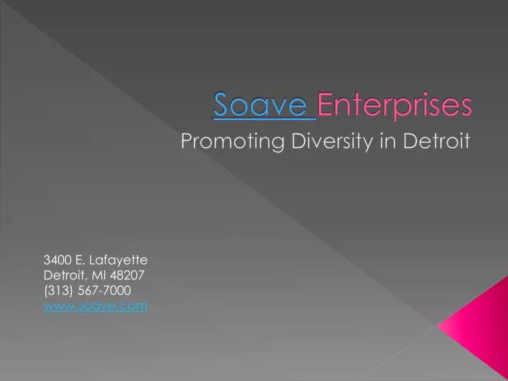 PPT - Soave Enterprises Promotes Diversity in Detroit PowerPoint ...
