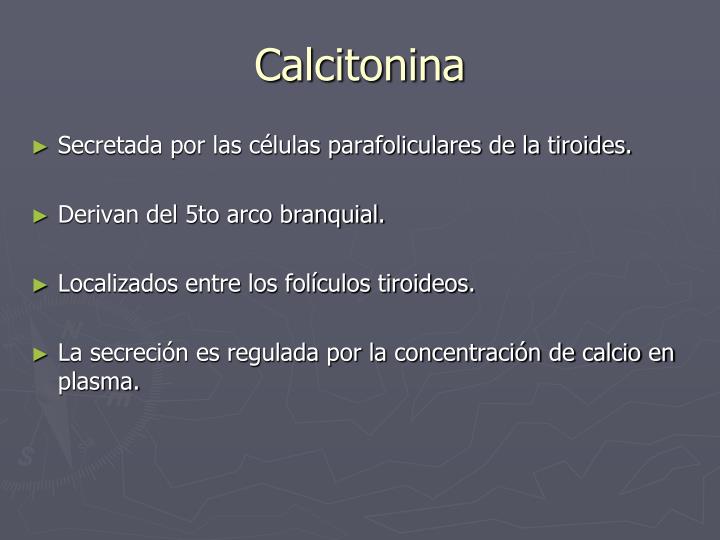 PPT - Tiroides PowerPoint Presentation - ID:447612
