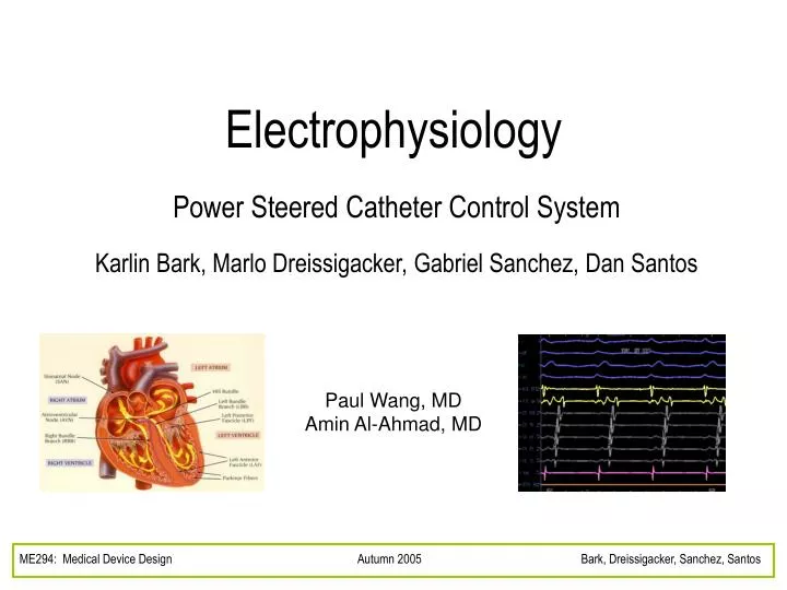 PPT - Electrophysiology PowerPoint Presentation, free download - ID:447976