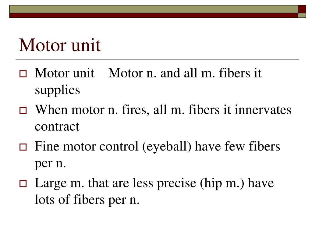 PPT - Muscle – CSM 1040 Dr. Melanie Osterhouse PowerPoint Presentation ...