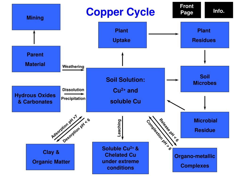 Flow Diagram Of Copper Cycle The Copper Cycle Flow Diagram Of Copper Cycle The Copper Cycle