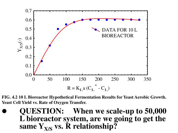 PPT - 4. SCALE-UP OF BIOREACTOR SYSTEMS PowerPoint Presentation - ID:452172