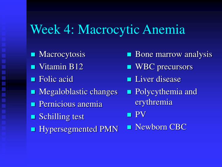 PPT - Week 4: Macrocytic Anemia PowerPoint Presentation, free download ...
