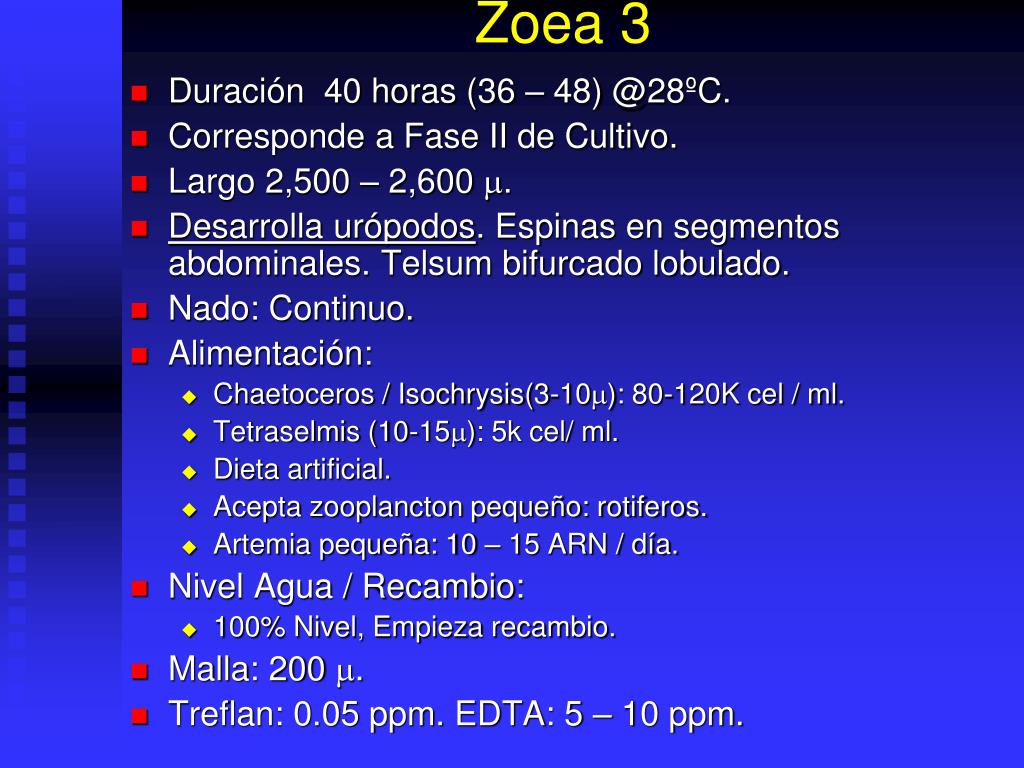 PPT - Metodología de Cultivo Comercial de Camarón en Ecuador Especies ...