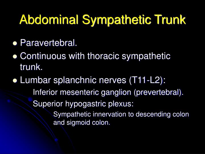 PPT - NEUROLOGY of ABDOMINAL REGION PowerPoint Presentation - ID:455965