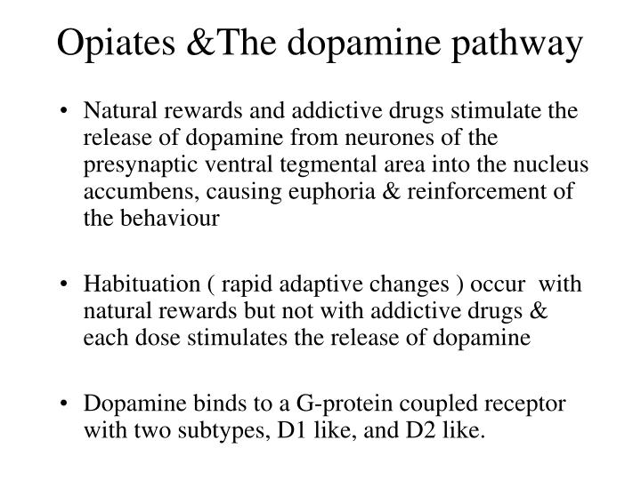 PPT - MANAGEMENT OF DRUG ADDICTION / SUBSTANCE ABUSE PowerPoint ...