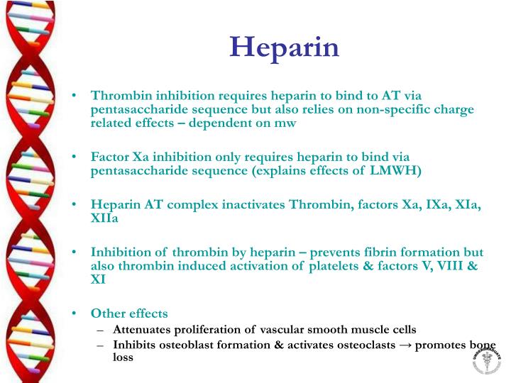 PPT - Drugs affecting coagulation PowerPoint Presentation - ID:456127