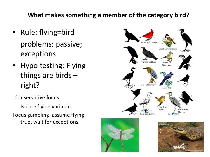 PPT - Thinking: Concept Formation PowerPoint Presentation - ID:456132 PPT - Thinking: Concept Formation PowerPoint Presentation - ID:456132