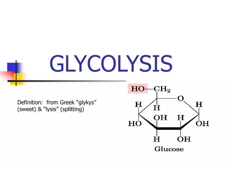 PPT - GLYCOLYSIS PowerPoint Presentation, free download - ID:456542