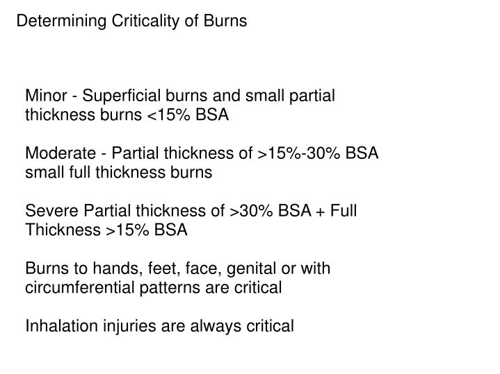 PPT - EMS Assessment and Initial Care of Burn Patients PowerPoint ...