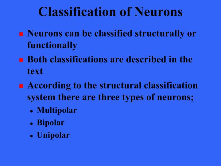 PPT - Fundamentals of the Nervous System and Nervous Tissue PowerPoint ...